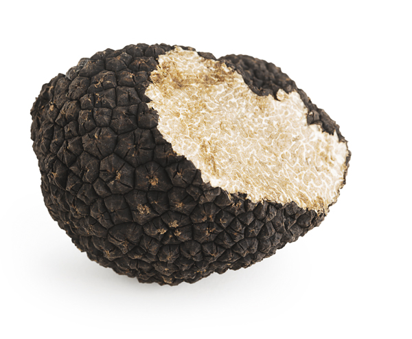 Tryffel Gotland färsk gram | Werners Gourmetservice